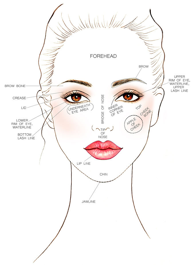 Fashion Illustration Face Tutorial